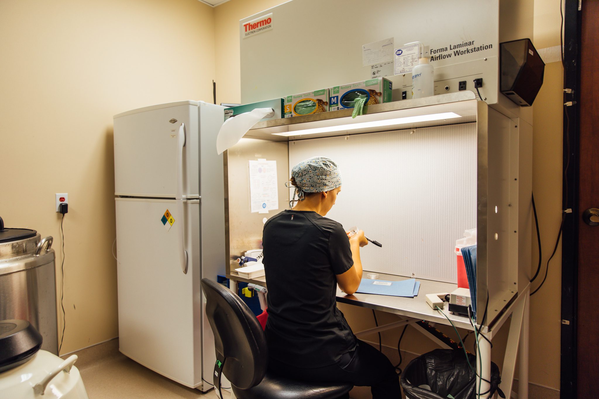 What Is PGT Testing and Why Do Intended Parents Opt for It? | Pinnacle ...