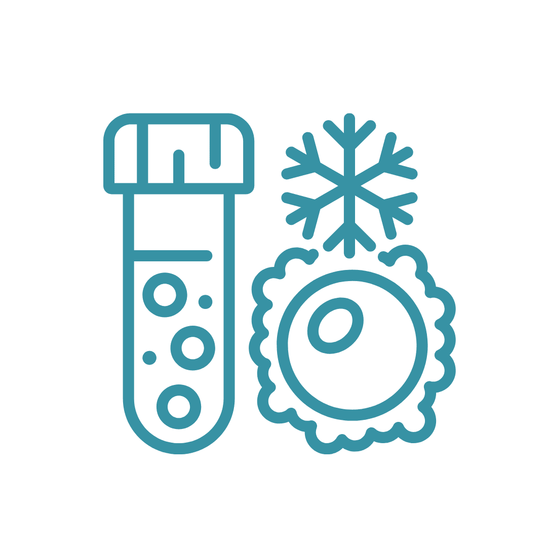 Fertility Success Rates: IVF & Donor Egg | Pinnacle Fertility